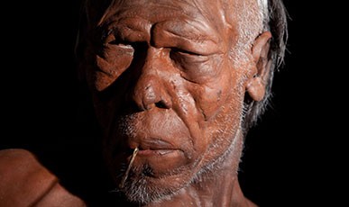 Beaker People New Pre History Mod 2500BC : R/Bannerlord