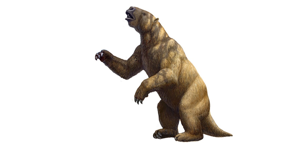 Megatherium