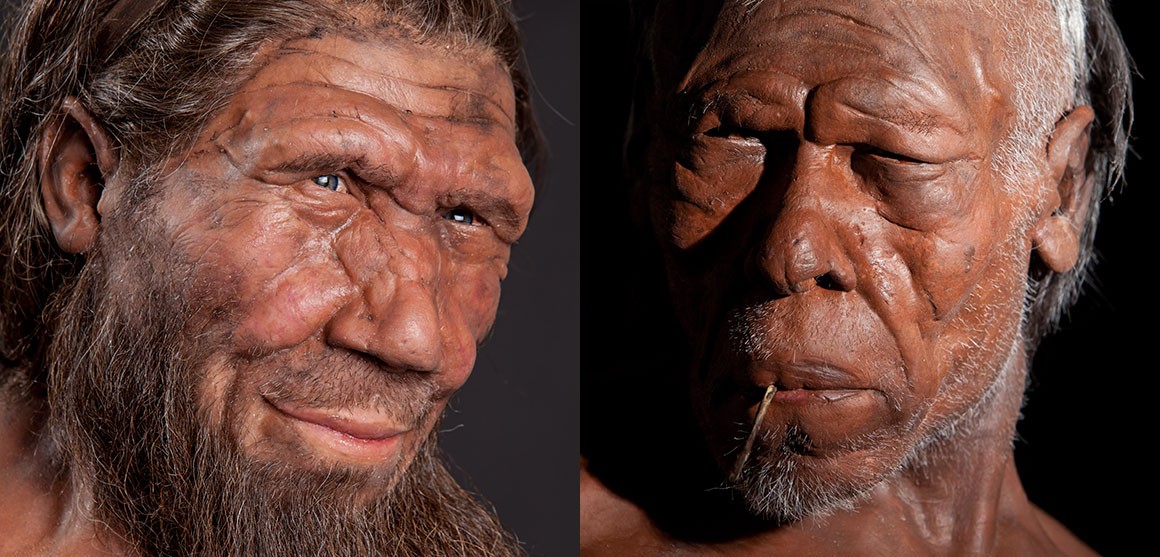 Neanderthal Human Interbreeding Why We Have So Few Neanderthal Genes,