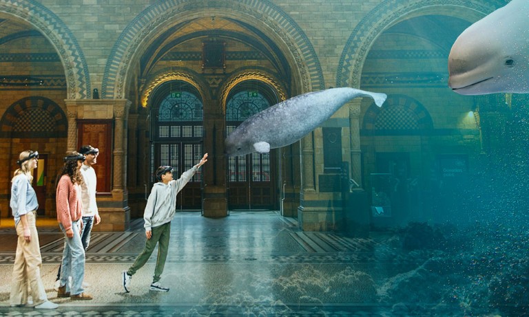 Natural History Museum London Tickets Address - Infoupdate.org